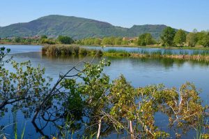 Riserva Naturale delle Torbiere del Sebino | Visit Brescia